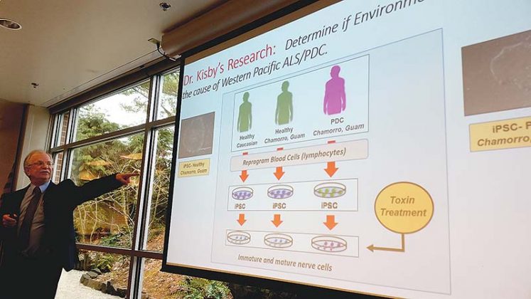 COMP-NW medical students learning to be researchers as well as doctors ...