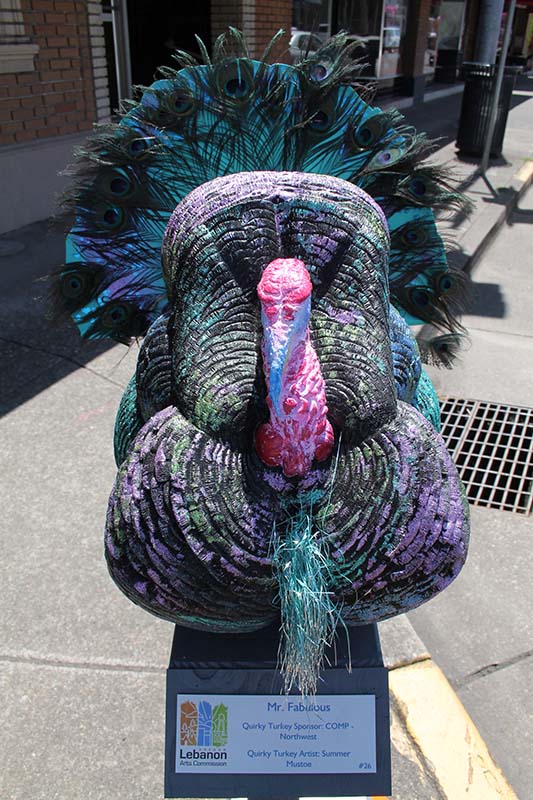2019 Quirky Turkey Pageant winners | Lebanon Local