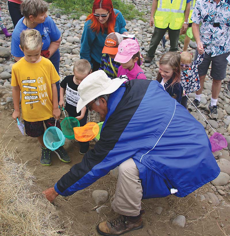 River View Park Bug Crawl sparks wave of budding entomologists ...