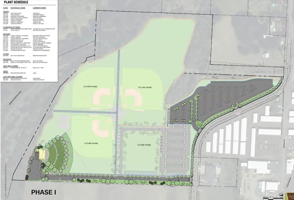 Phase one for Cheadle Lake Park to begin soon - Lebanon Local