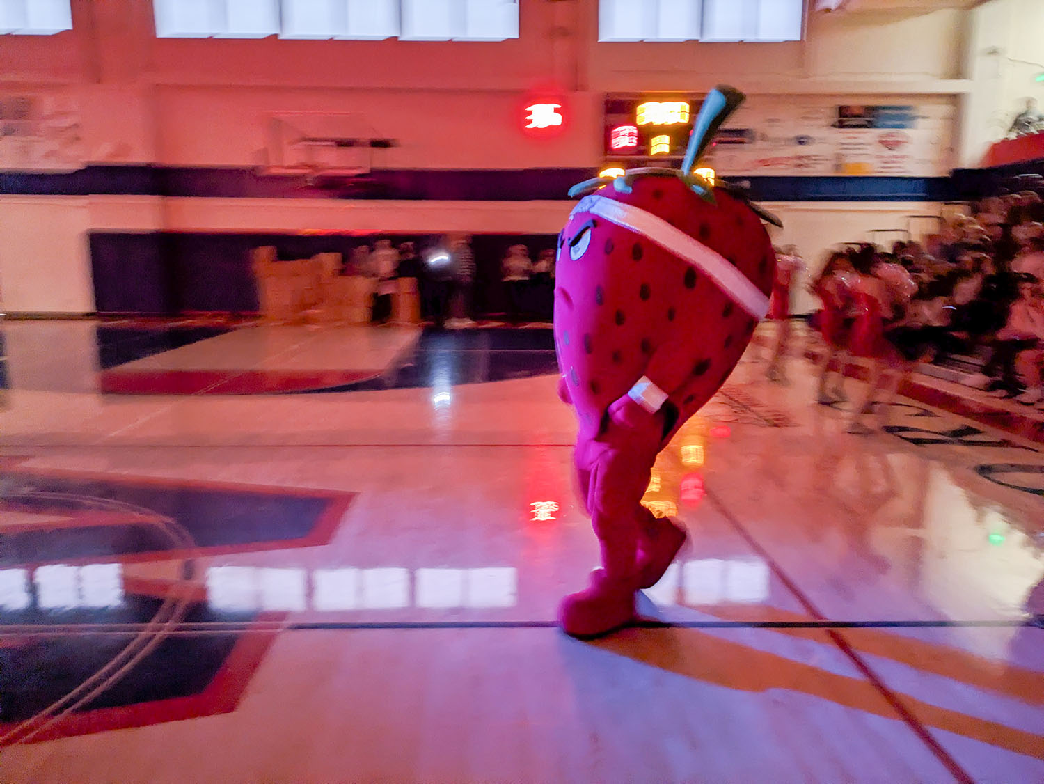 New mascot fruitful addition to school spirit - Lebanon Local