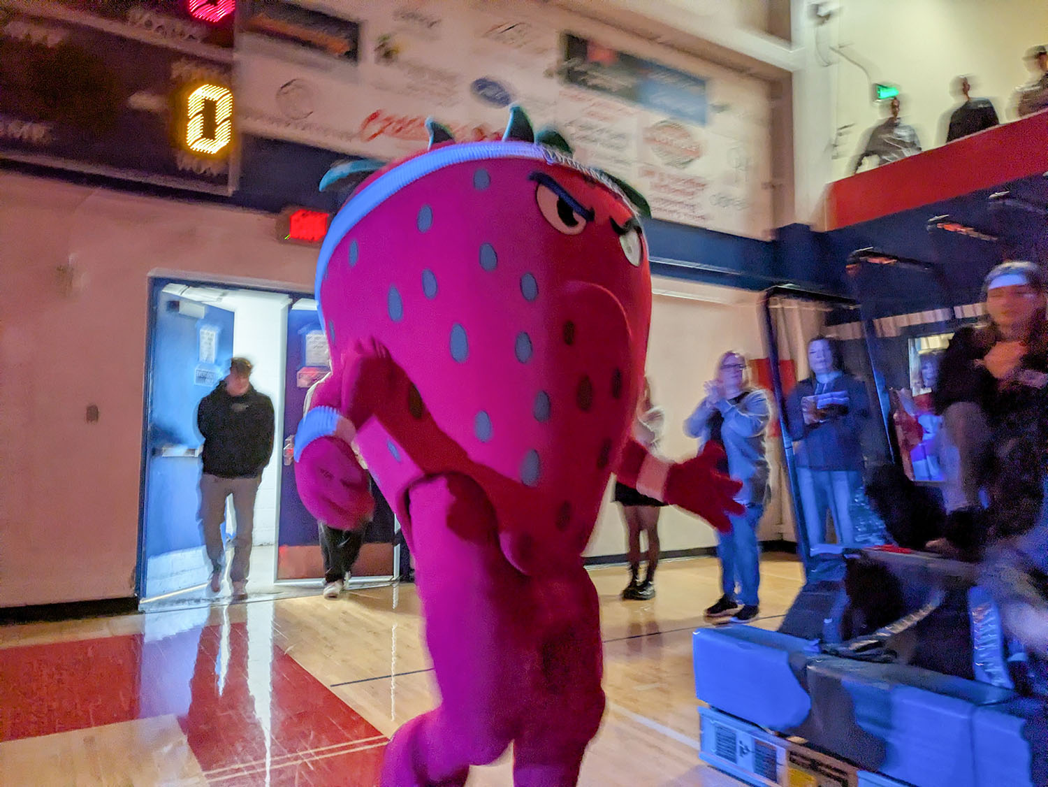 New mascot fruitful addition to school spirit - Lebanon Local