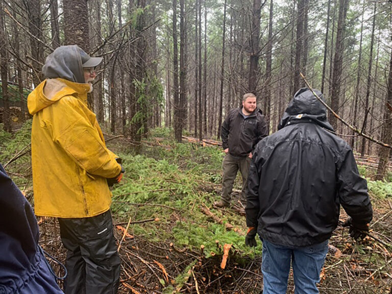 Foresters host pulp processing activity at Fun Forest - Lebanon Local