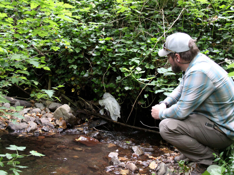 Watershed projects improve fish passage, drainage in local streams ...