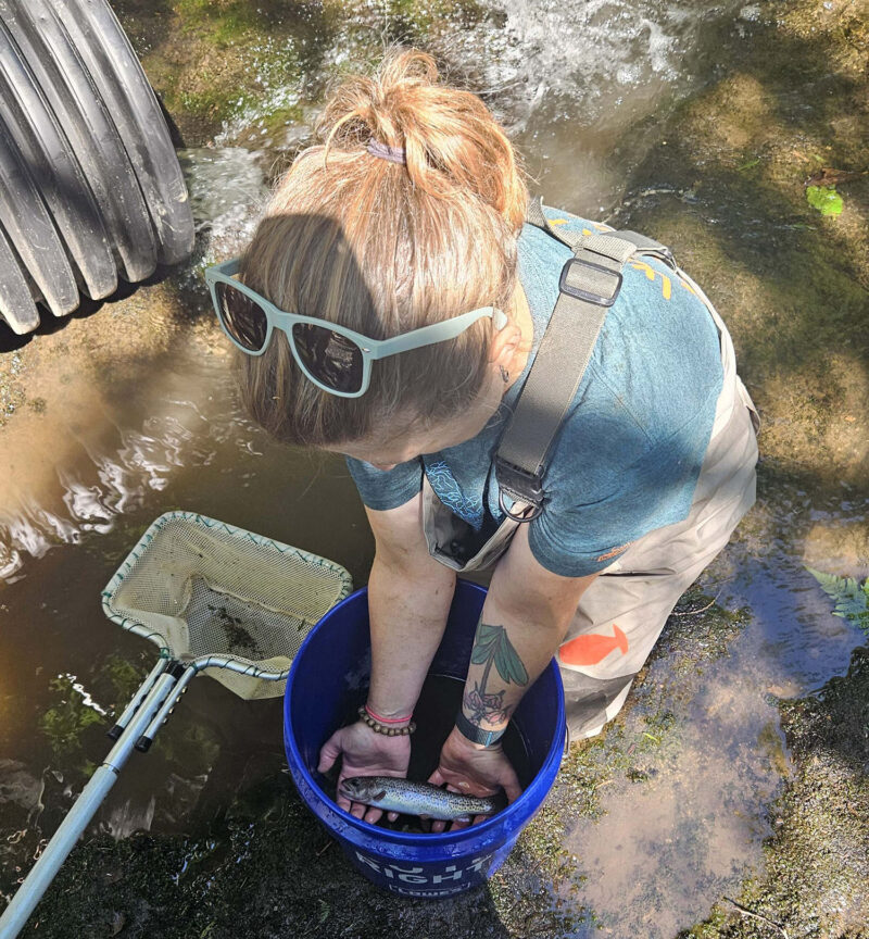 Watershed projects improve fish passage, drainage in local streams ...